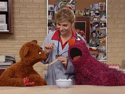 Sesame Street Gina The Vet