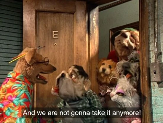 Network | Muppet Wiki | Fandom