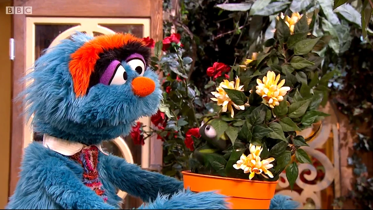 Episode 123: Furgus and the New Plant | Muppet Wiki | Fandom