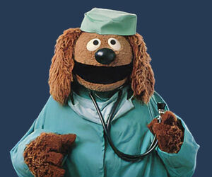Dr. Bob | Muppet Wiki | Fandom