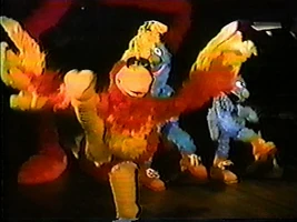 Betsy Bird | Muppet Wiki | Fandom