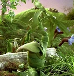 Plants | Muppet Wiki | Fandom