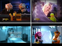 Episode 101: Pascal Obispo & Adriana Karembeu | Muppet Wiki | Fandom