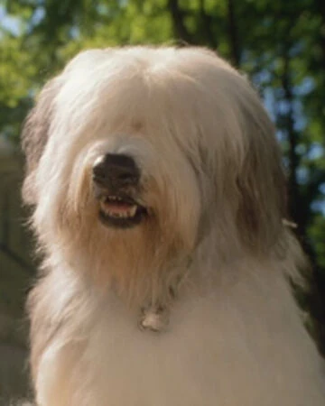 Sam (Cats & Dogs) | Muppet Wiki | Fandom