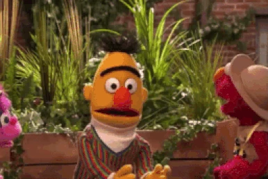 Bert Book Gif