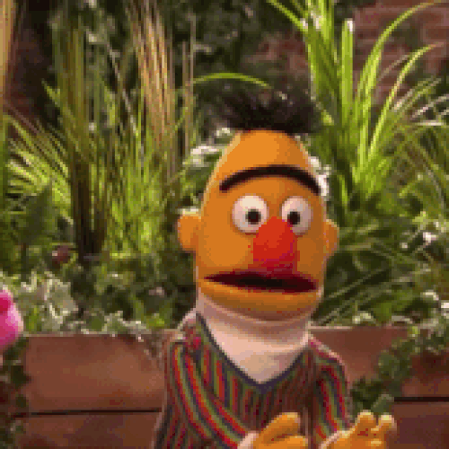 Sesame Street Bert Gif