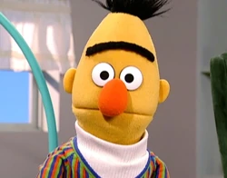 Unibrow Bert