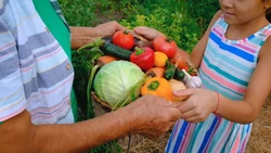 Elmo's World: Food (2022) | Muppet Wiki | Fandom