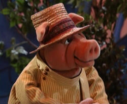Muppet Pig