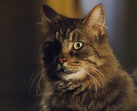 Ouija | Muppet Wiki | Fandom