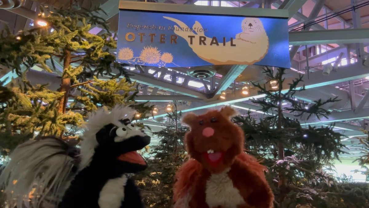 Shedd Aquarium | Muppet Wiki | Fandom