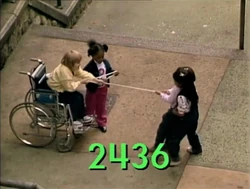 Episode 2436 | Muppet Wiki | Fandom