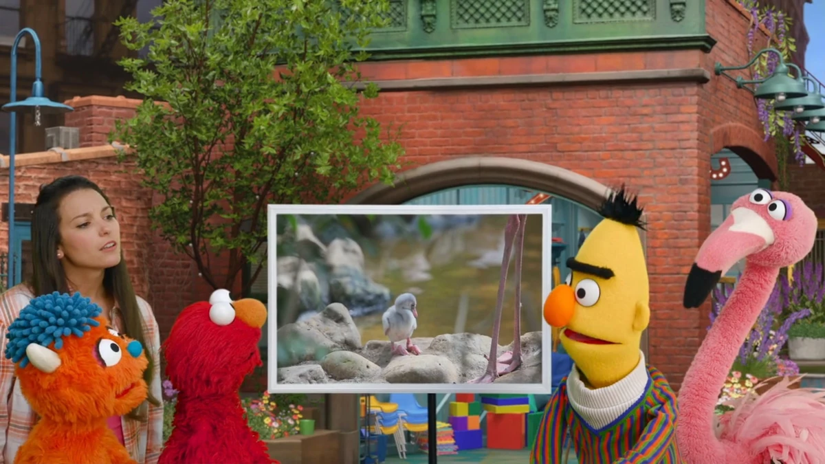 Shrimp and Brine | Muppet Wiki | Fandom