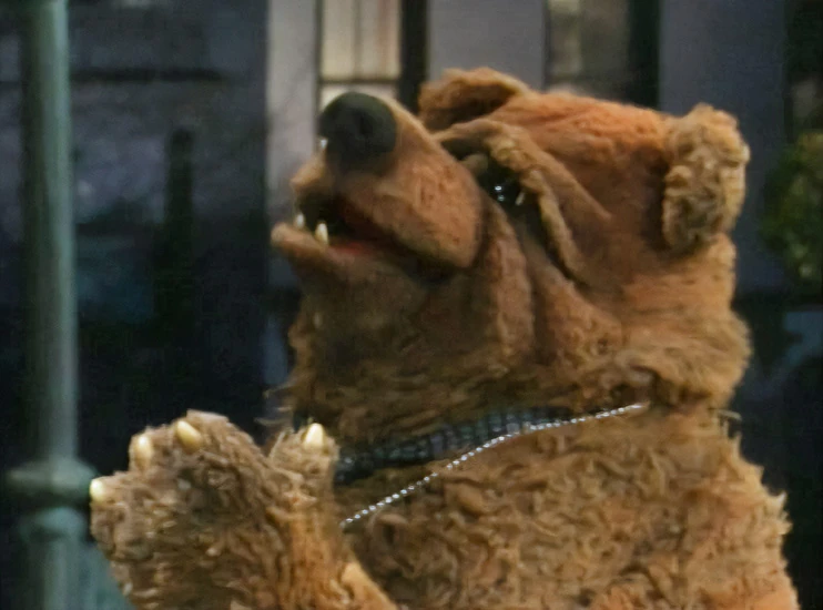 School Days (disambiguation) | Muppet Wiki | Fandom