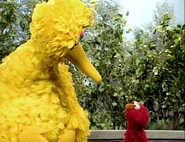 Elmo: Feelings | Muppet Wiki | Fandom