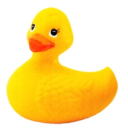 Ernie's Rubber Duckie | Muppet Wiki | Fandom