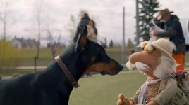 Live animals on Fraggle Rock | Muppet Wiki | Fandom