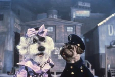 Dog City (special) | Muppet Wiki | Fandom