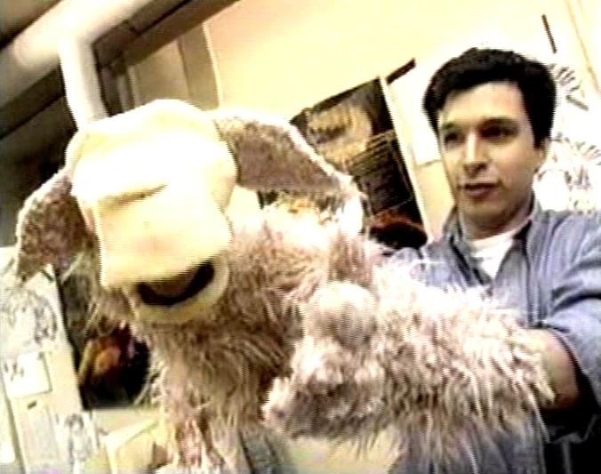 Clueless Morgan | Muppet Wiki | Fandom