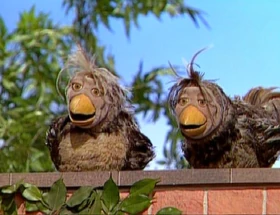 Peter and Paul | Muppet Wiki | Fandom