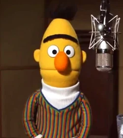 Unibrow Bert