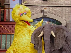 Episode 4015 | Muppet Wiki | Fandom