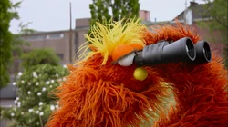 Episode 4221 | Muppet Wiki | Fandom