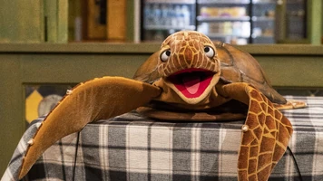 Episode 5133 | Muppet Wiki | Fandom