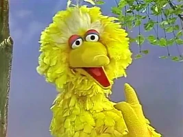 Big Bird's family | Muppet Wiki | Fandom