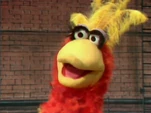 Betsy Bird | Muppet Wiki | Fandom