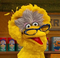 Jennifer Barnhart characters | Muppet Wiki | Fandom