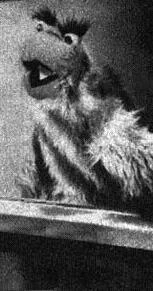 Paco | Muppet Wiki | Fandom