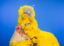 Granny Bird | Muppet Wiki | Fandom