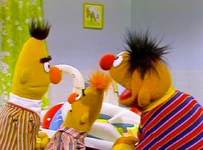 Brad | Muppet Wiki | Fandom