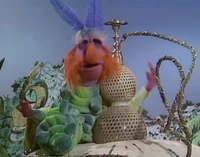 Insects | Muppet Wiki | Fandom