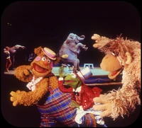The Muppet Circus | Muppet Wiki | Fandom