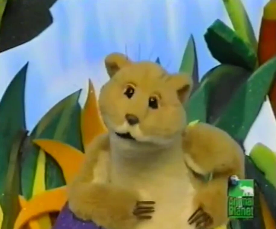 Stella the Stoat | Muppet Wiki | Fandom