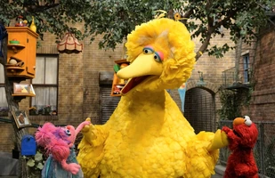 Episode 4712 | Muppet Wiki | Fandom