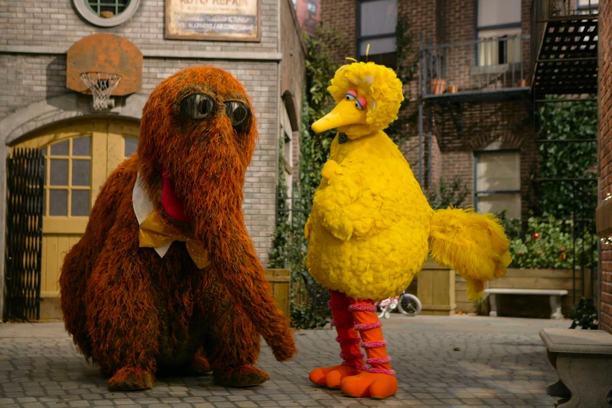 Episode 4171 | Muppet Wiki | Fandom