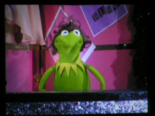 Sonny Bono | Muppet Wiki | Fandom