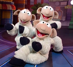 The Boogie-Woogie Sheep | Muppet Wiki | Fandom