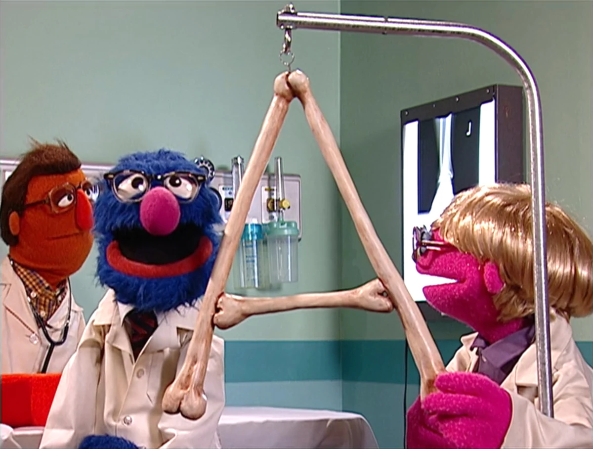 Grover: A's Anatomy | Muppet Wiki | Fandom