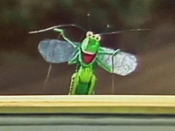 Grasshopper | Muppet Wiki | Fandom