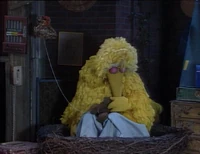 Big Bird's nest | Muppet Wiki | Fandom