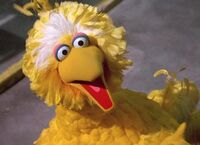Big Bird filmography | Muppet Wiki | Fandom
