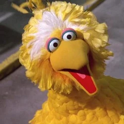 Nomi E Immagini Dei Personaggi Di Sesame Street Wiki Sesame Street
