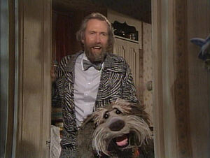 A Muppet Family Christmas | Muppet Wiki | Fandom