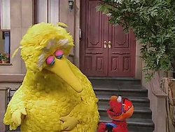 Episode 4053 | Muppet Wiki | Fandom