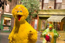 Episode 4608 | Muppet Wiki | Fandom