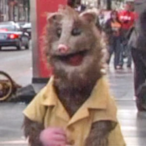 Lester Possum | Muppet Wiki | Fandom